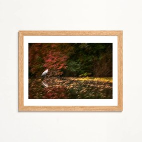 Jiří Hřebíček | Silent Autumn Admirer Rám: Černý, Velikost: 30 x 40 cm