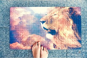 Ervi rohožka - Lion, 45x75 cm