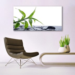 akrylový obraz List Příroda Kameny Rostlina 120x60 cm