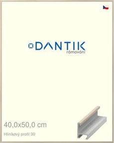 DANTIK rámeček 40x50 | ALU profil 6030 Dýha slovnová kost (Sklo Čiré)