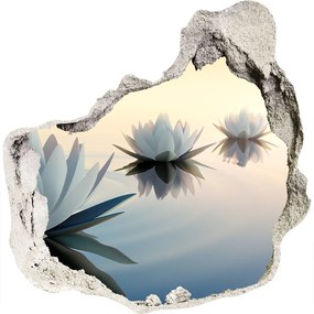 Wallmuralia Samolepící díra na stěnu Květy lotosu 75x75 cm