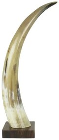 Dekorativní roh Bizon na dřevěném podstavci - 45cm
