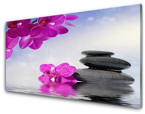 Obraz na skle Květiny Kameny Rostlina 100x50 cm