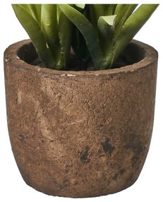 Umělé rostliny v sadě 4 ks (výška 10 cm) Cactus – Casa Selección