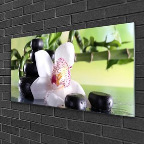 Obraz na skle Orchidej Kameny Bambus 120x60 cm