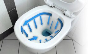 Závěsná WC mísa se SoftClose sedátkem REA CARLO MINI FLAT, bílá/zlatá