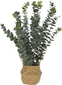 Umělá rostlina eukalyptu v košíku, 50 cm