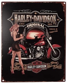Černá nástěnná kovová cedule Harley Davidson - 20*1*25 cm