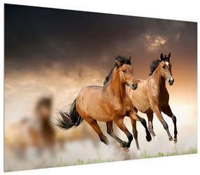 Obraz koní (100x70 cm)