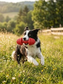 Sinsay - Hračka pro psa - červená