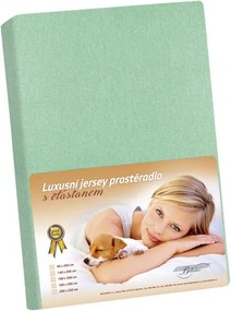 Bellatex Jersey LUX Zelená 180x200x40 cm