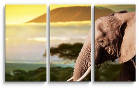 Sablio Obraz - 3-dílný Slon z profilu - 120x80 cm
