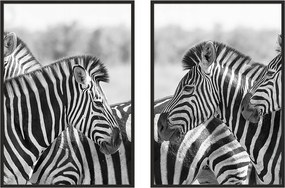 Obraz Plakáty V Rámu 33x43cm Diptych Sada 2 obrazů Zebra Zebry P971