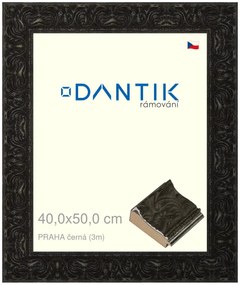 DANTIK rámeček 40x50 | PRAHA černá (Sklo Čiré)