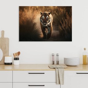 Obraz na plátně - Tygr běžící savanou FeelHappy.cz Velikost obrazu: 210 x 140 cm