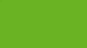 D-c-fix Samolepící tapeta jednobarevná lesklá - světle zelená - RAL 6018 Varianta: Jednobarevná folie šíře 45cm - cena za 1metr