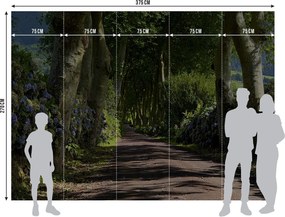 Fototapeta na zed' Lesní Cesta | 360 x 254 cm | DFTS1303