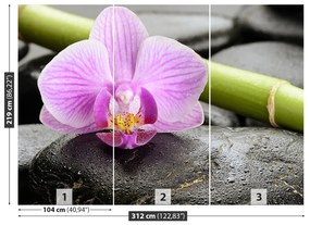 Fototapeta Orchidejové kameny 104x70