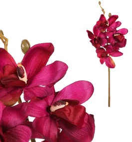 Orchidej, bordó barva UKK056 PUR
