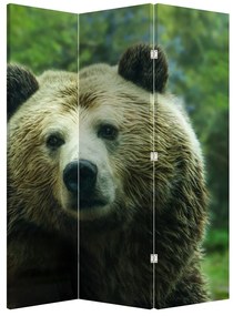 Paraván - Medvěd (126x170 cm)