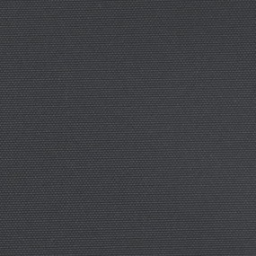 Zatahovací boční markýza černá 160 x 1 000 cm