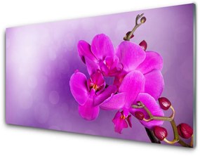 Obraz na skle Květiny Plátky Orchidej 100x50 cm