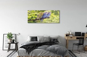 akrylový obraz Barevné papoušek na větvi 120x60 cm