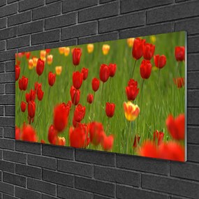 Obraz na skle Tulipány Rostlina 120x60 cm