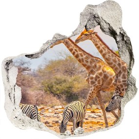 Wallmuralia Díra 3D fototapeta nálepka Žirafy a zebry 75x75 cm