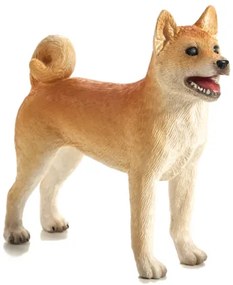 Mojo Pes shiba-inu