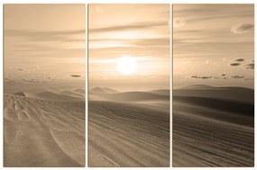 Obraz na plátně - Pouštní západ slunce 1917FB (105x70 cm)