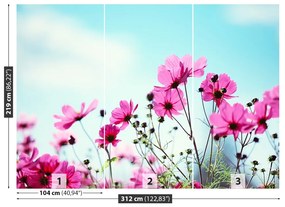 Fototapeta nebe květina 104x70