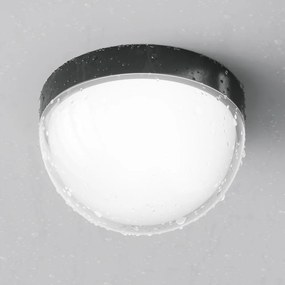 M O438CL-L12GF3K Stropní svítidlo Mon 3000K 12W 1100lm černé hliník/plast IP65 teplá bílá  - MAYTONI