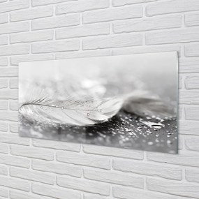 akrylový obraz Kapky peří makro 125x50 cm