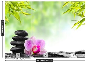 Fototapeta Orchidej a kameny 104x70