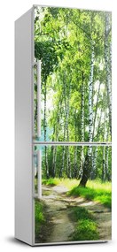 Wallmuralia Nálepka fototapeta na ledničku Břízový les 60x180 cm