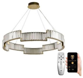 NEDES LED Stmívatelný lustr na lanku LED/60W/230V 3000-6500K zlatá + dálkové ovládání ND3528