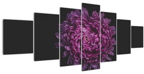 Obraz fialové květiny (210x100 cm)