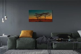 Obrazy na plátně oblohy stromu 120x60 cm
