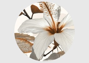 Samolepící vliesová fototapeta na zed' Lilie v Rozkvětu | 70 x 70 cm | DCR3217
