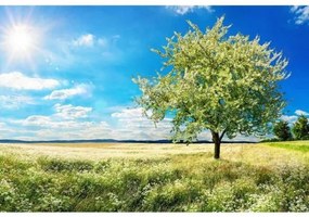 DIMEX | Samolepicí vliesová fototapeta na zeď Strom na louce MA-5-0096 | 375 x 250 cm | zelená, modrá