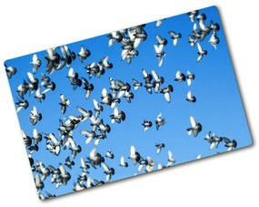Wallmuralia Kuchyňská deska skleněná Stádo holubů 80x52 cm