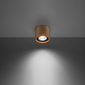Sollux Lighting Plafond BASIC 1 přírodní dřevo