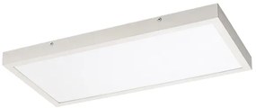 Rabalux 71077 - LED Přisazený panel DAMEK LED/24W/230V 4000K 60x30 cm