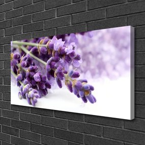 Obraz na plátně Květiny Příroda Rostlina 125x50 cm