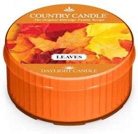 Country Candle Vonná Svíčka Leaves, 35 g
