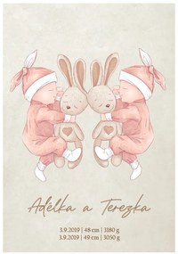Plakát Naše dvojčata - holčičky