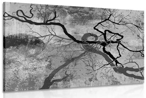 Obraz surrealistické stromy v černobílém provedení Varianta: 60x40