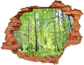 Wallmuralia Samolepící díra nálepka Břízový les 90x70 cm