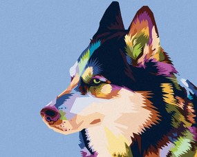 zuty malování podle čísel - barevný husky, 40x50 cm, bez rámu a bez vypnutí plátna